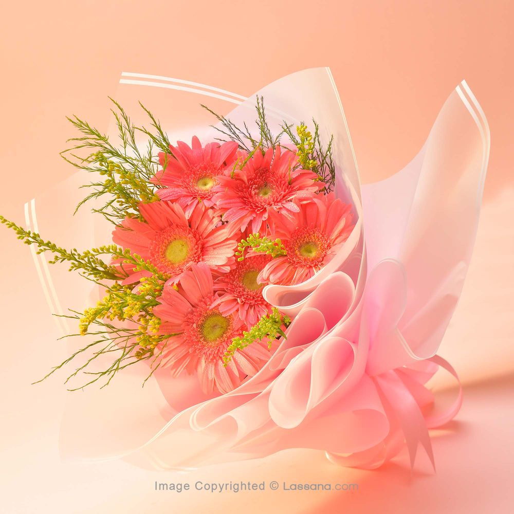 Jabra Flower Plant In Sri Lanka | Best Flower Site